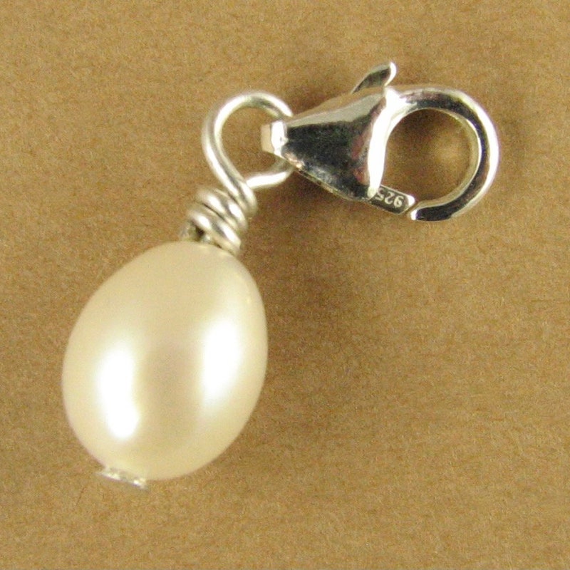 Clip on Charms - Etsy