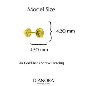 14K Solid Gold Shell Piercing: Cartilage Screw Back Earring - Etsy