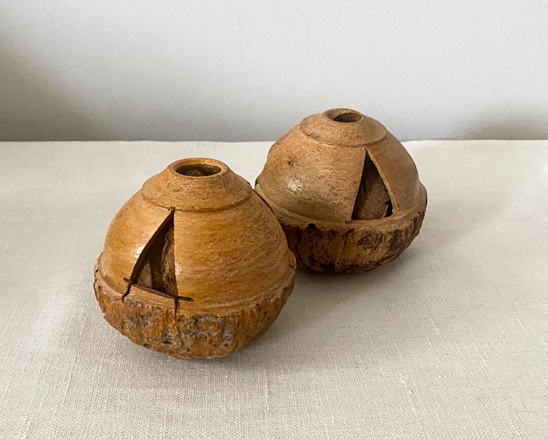 Vintage Brazil Nut Pod Folk Art Rattle or Percussion Instrument ...