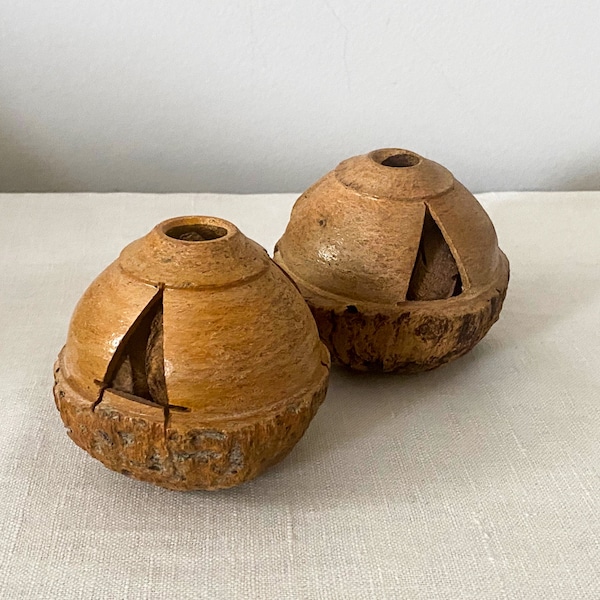 Seed Pod Rattle - Etsy