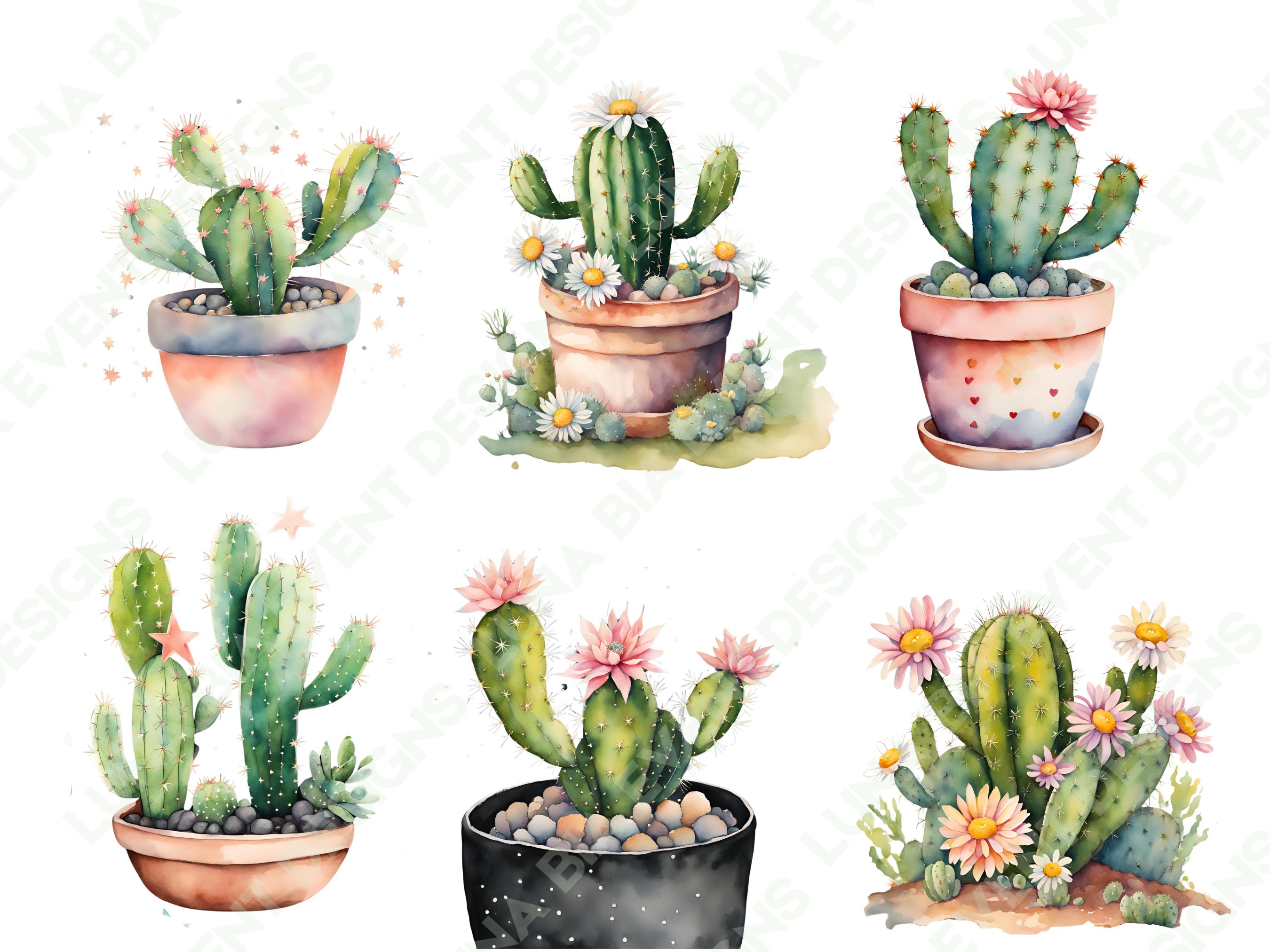 CACTUS Clip Art PNG Watercolor Cactus Clipart With Flowers, Bows ...