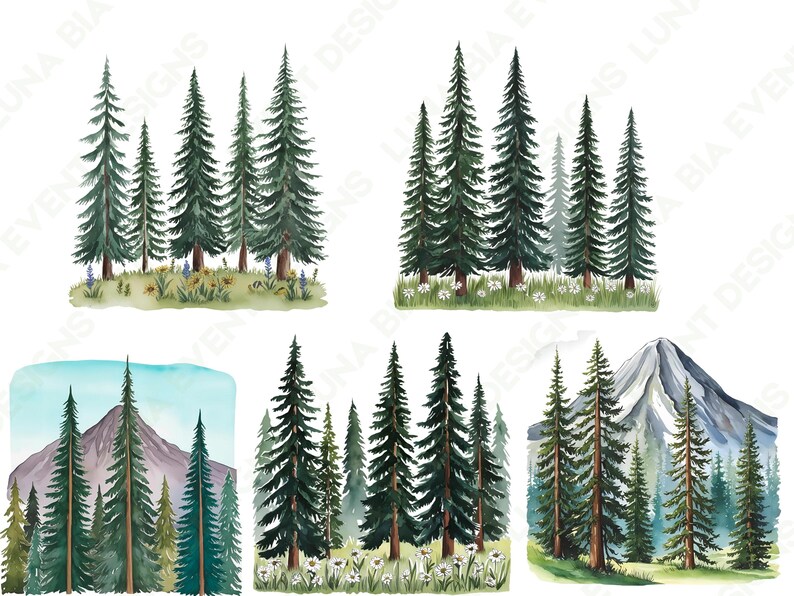 FOREST TREE CLIPART Watercolor Woodland Trees in All Seasons ...