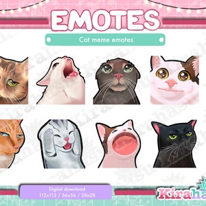 CAT MEME EMOTES | Discord | Twitch | Pack of Cute Cat Emoticons Famous ...