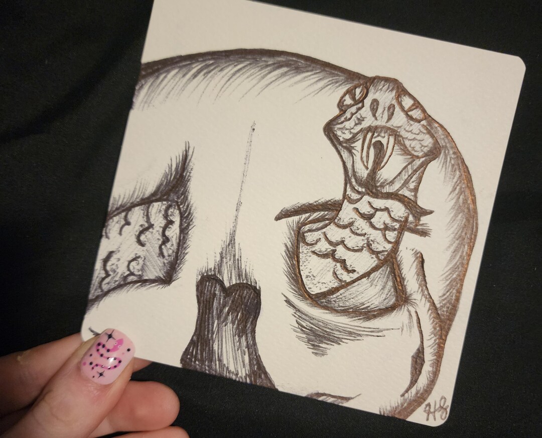 Snake Coming Out of Skull Ink Pen Sketch - Etsy