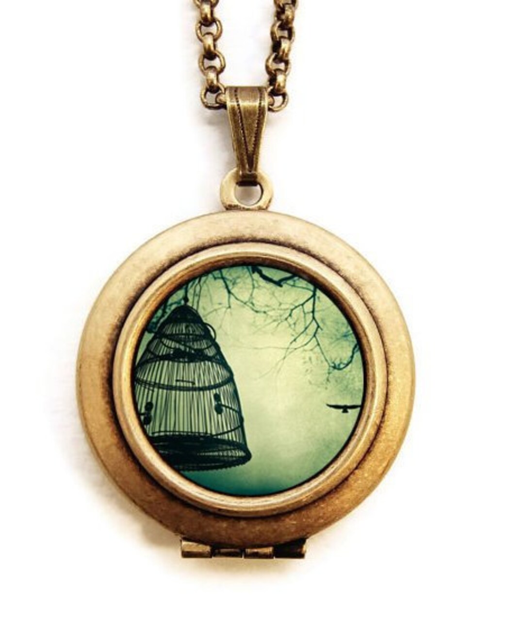 Photo Locket - This Bird Has Flown - Birdcage Wearable Photo Locket ...
