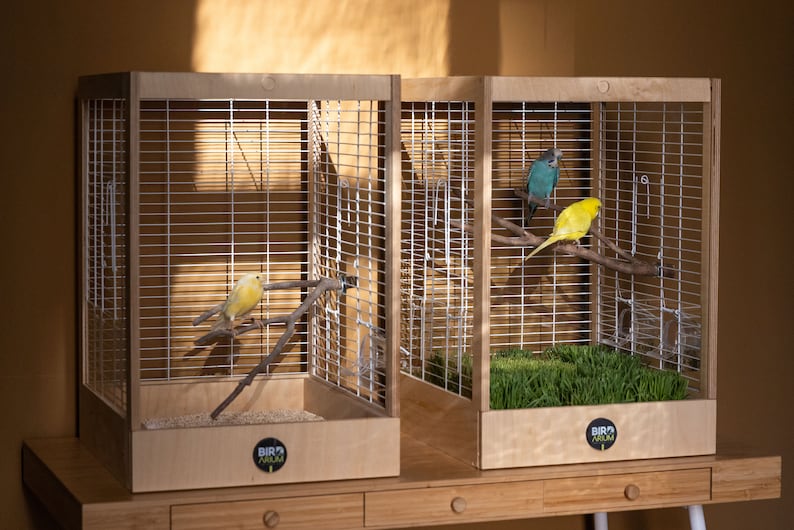 Handcrafted Wooden Bird Cage, Natural Budgie Canary Bird House - Etsy