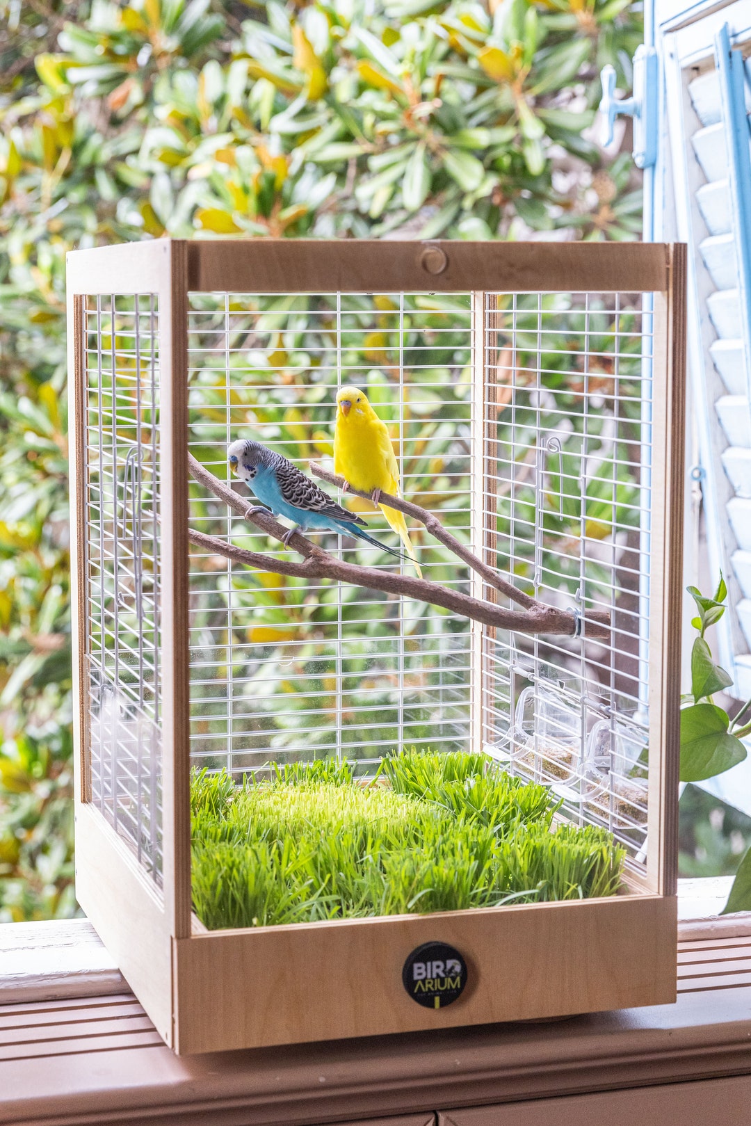 Handcrafted Wooden Bird Cage, Natural Budgie Canary Bird House - Etsy