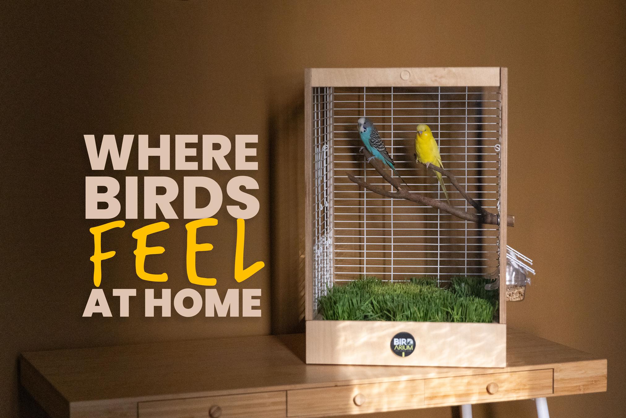 Handcrafted Wooden Bird Cage, Natural Budgie Canary Bird House - Etsy