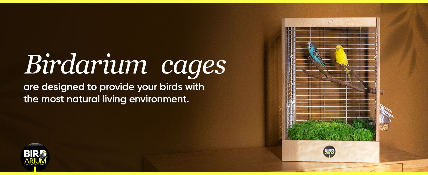Handcrafted Wooden Bird Cage, Natural Budgie Canary Bird House - Etsy