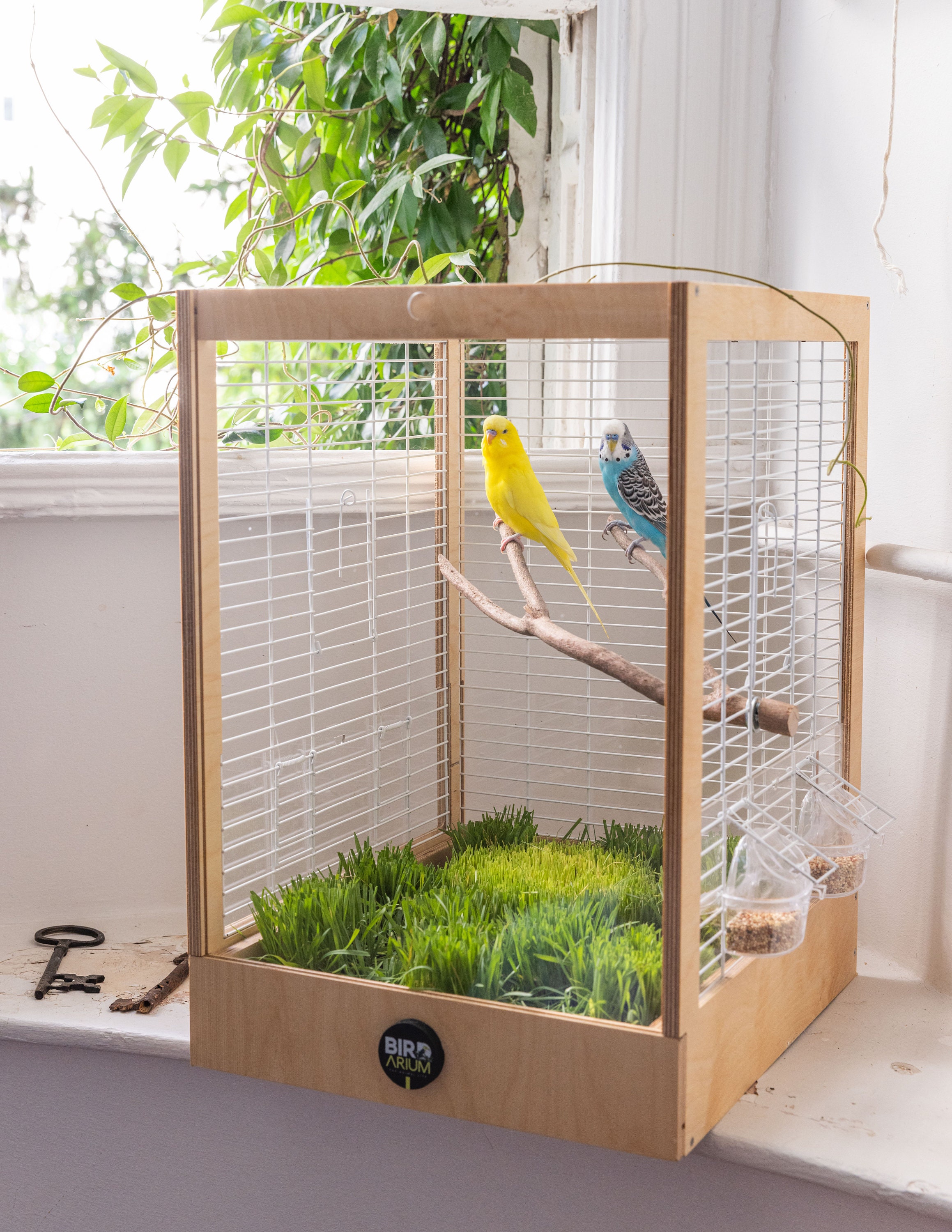 Handcrafted Wooden Bird Cage, Natural Budgie Canary Bird House - Etsy