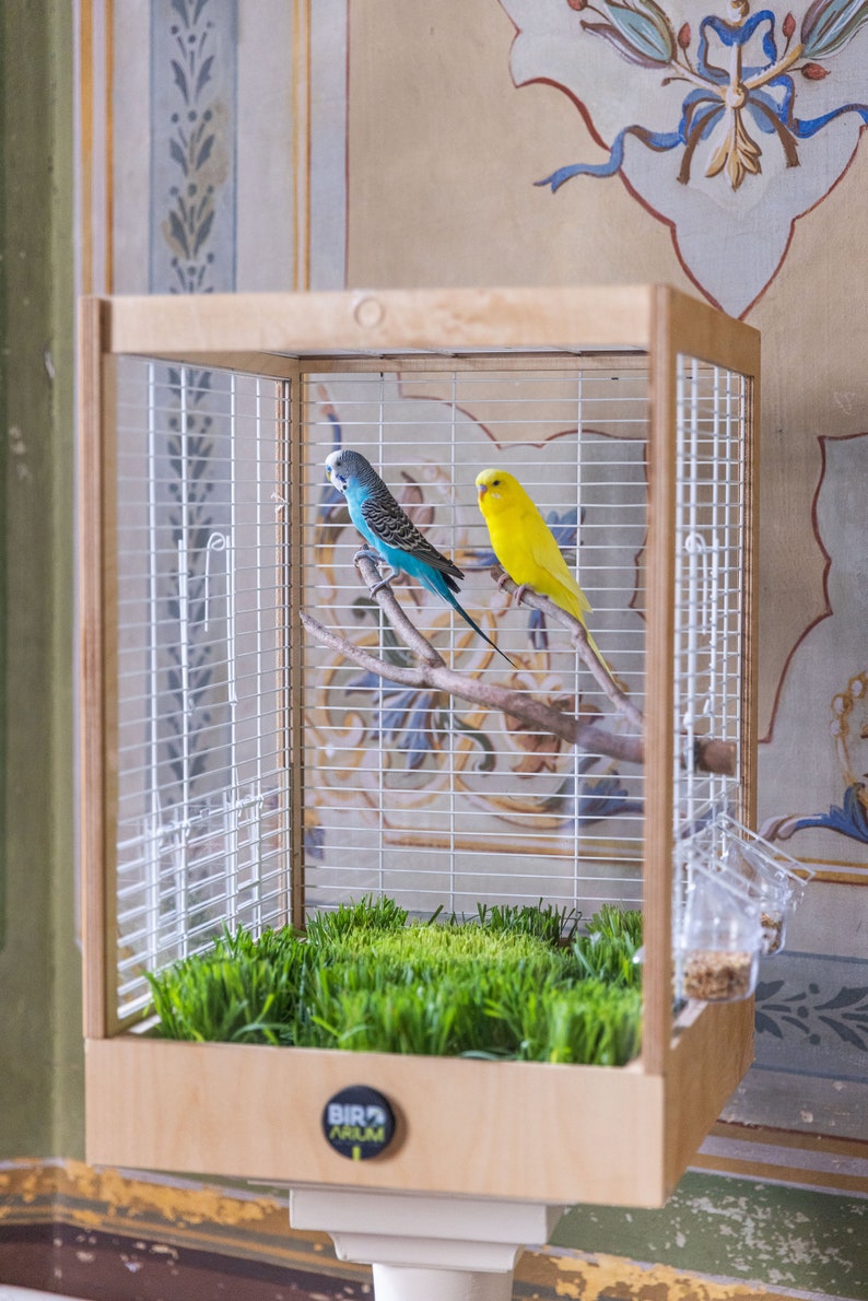 Handcrafted Wooden Bird Cage, Natural Budgie Canary Bird House - Etsy