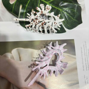 Conch Hair Claw Clips,spotted Conch Hair Clamps, Elegant Conch Hair ...