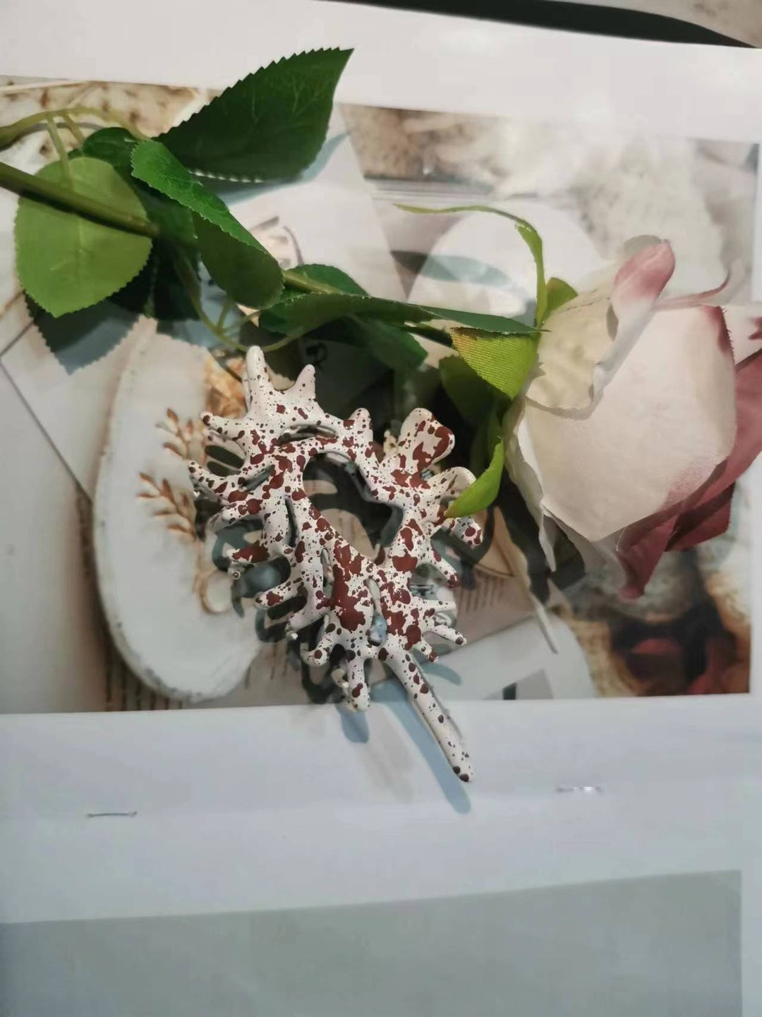 Conch Hair Claw Clips,spotted Conch Hair Clamps, Elegant Conch Hair ...