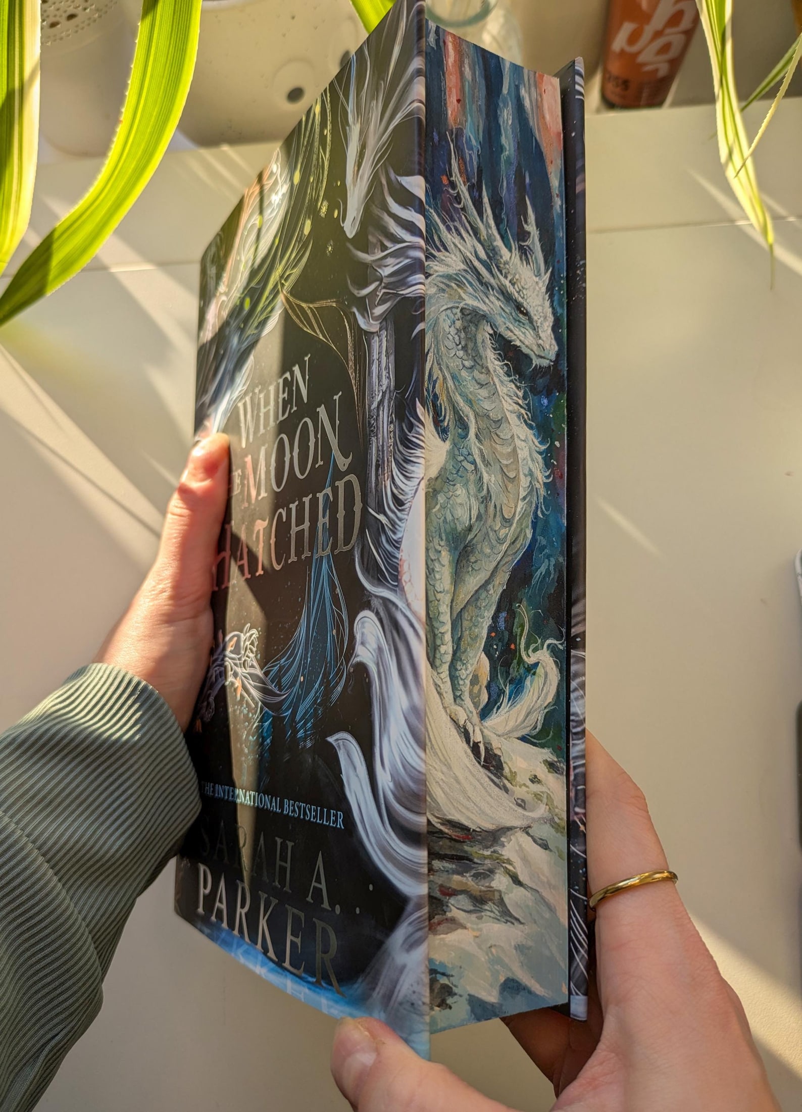 When the Moon Hatched by Sarah A Parker - Hand Painted - Fore Edge ...