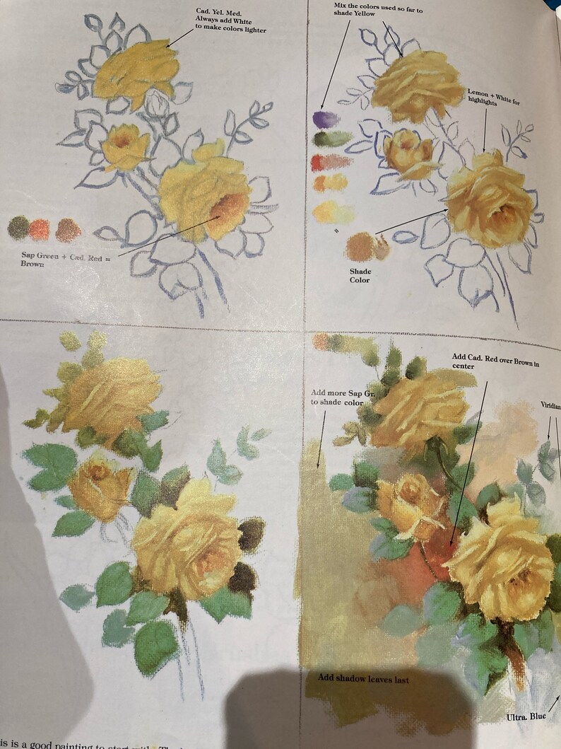 How to Draw and Paint Roses and Floral Bouquets Book by Lola Ades ...