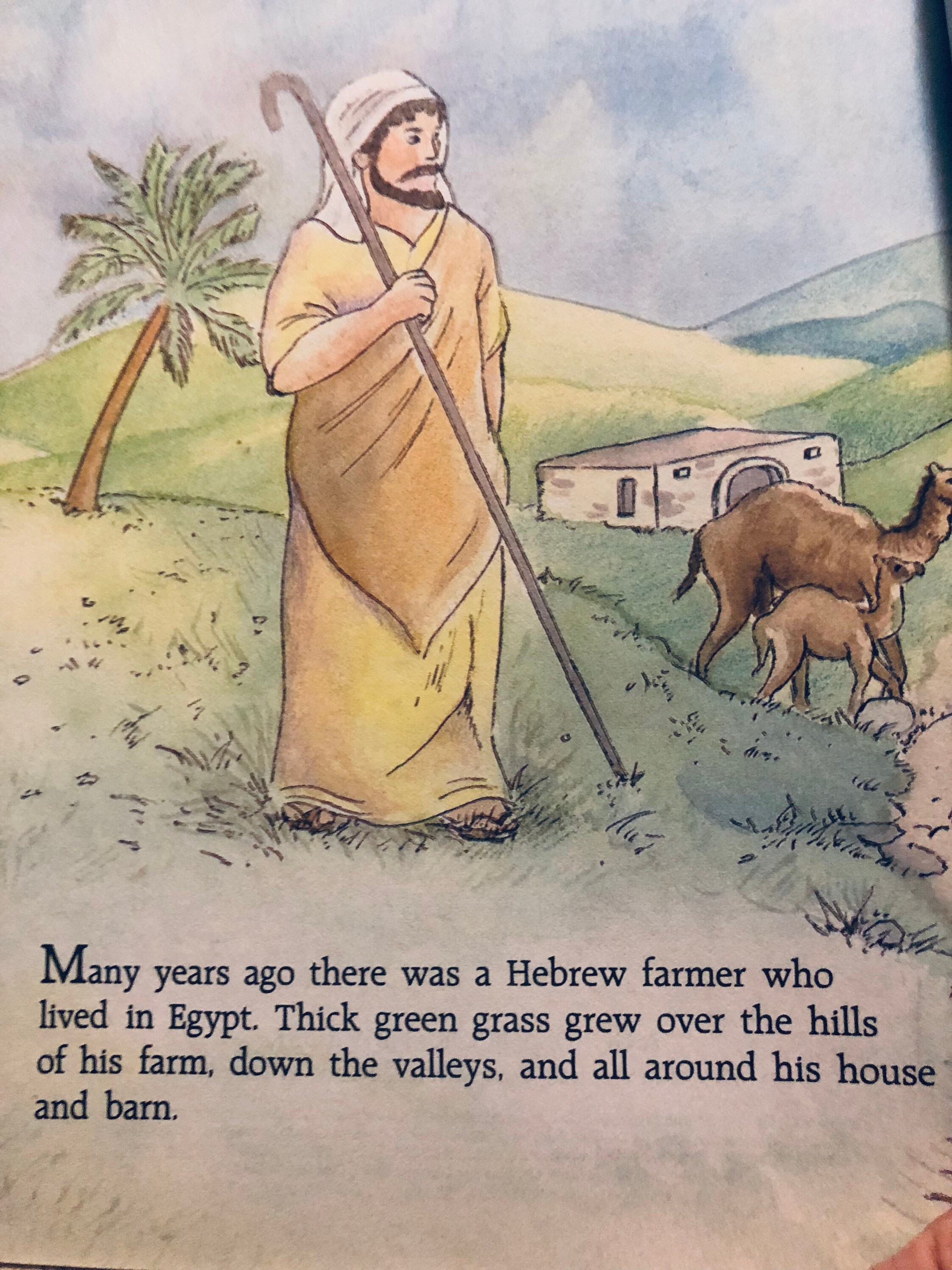 The Christmas Donkey....little Golden Books...jesus Birth - Etsy Canada