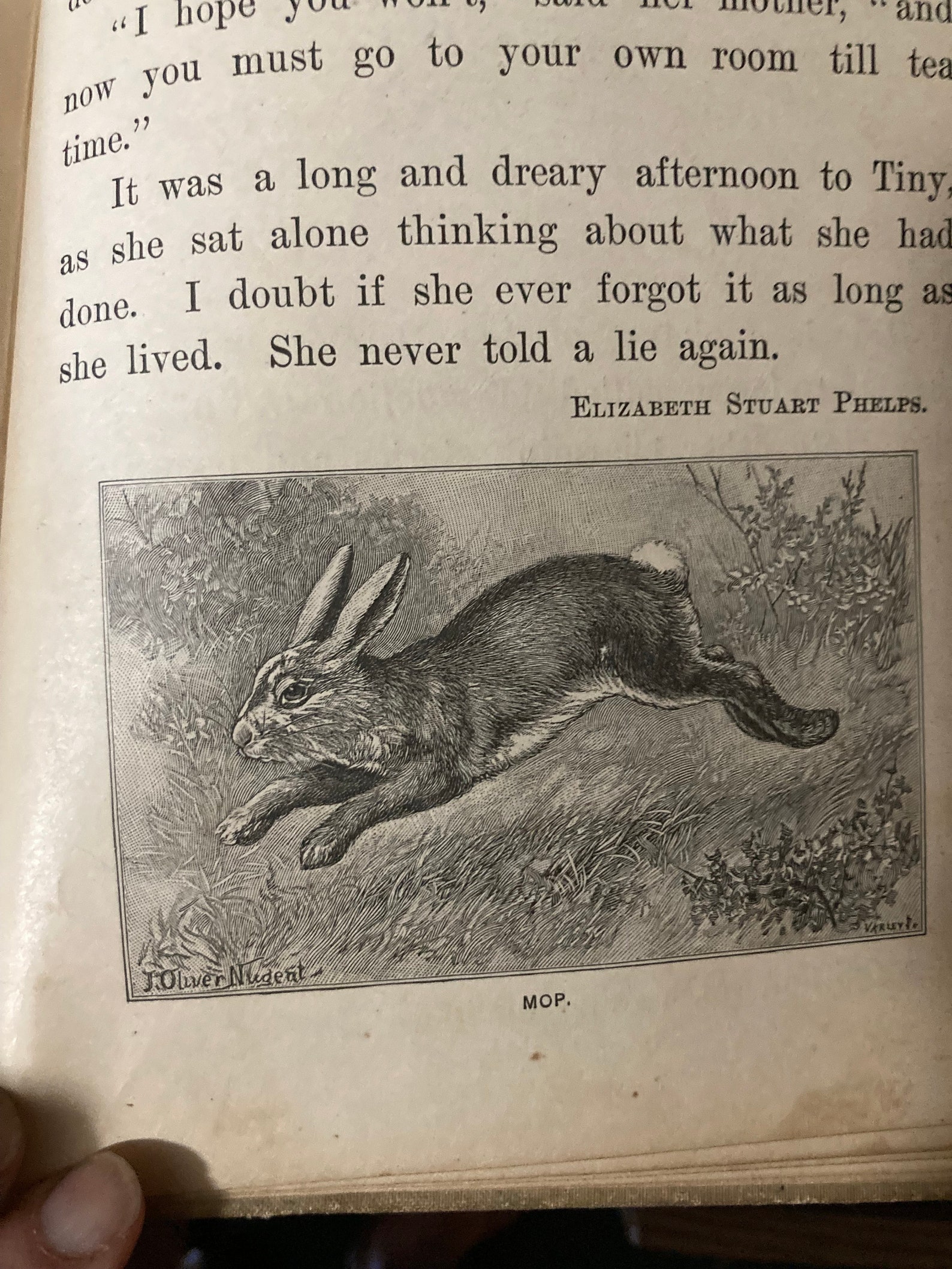 Cyr's the Children's Third Reader by Ellen - Etsy