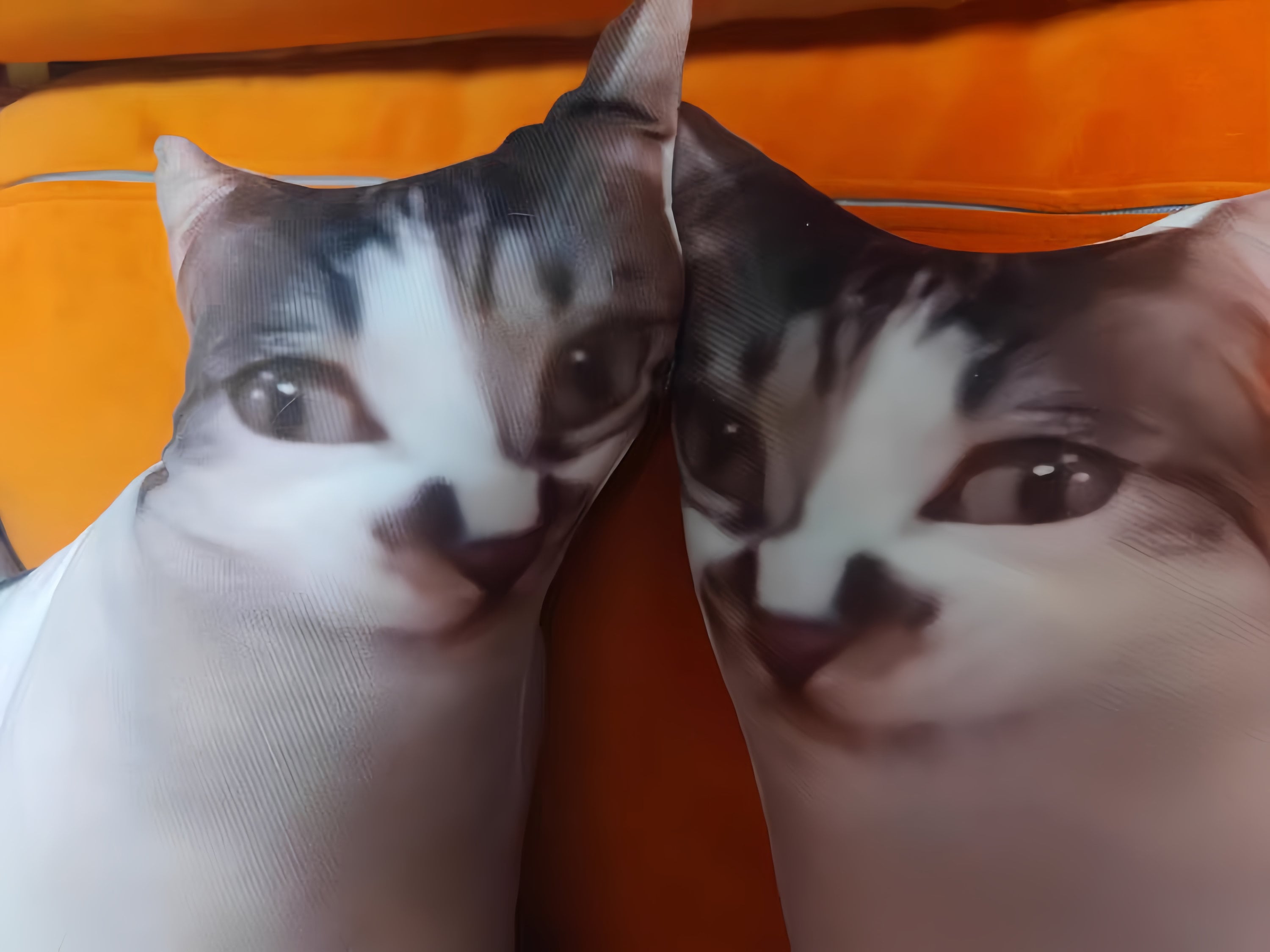 Ugly Cat Pillow Custom Print Photo Custom Special-shaped Doll Pet ...