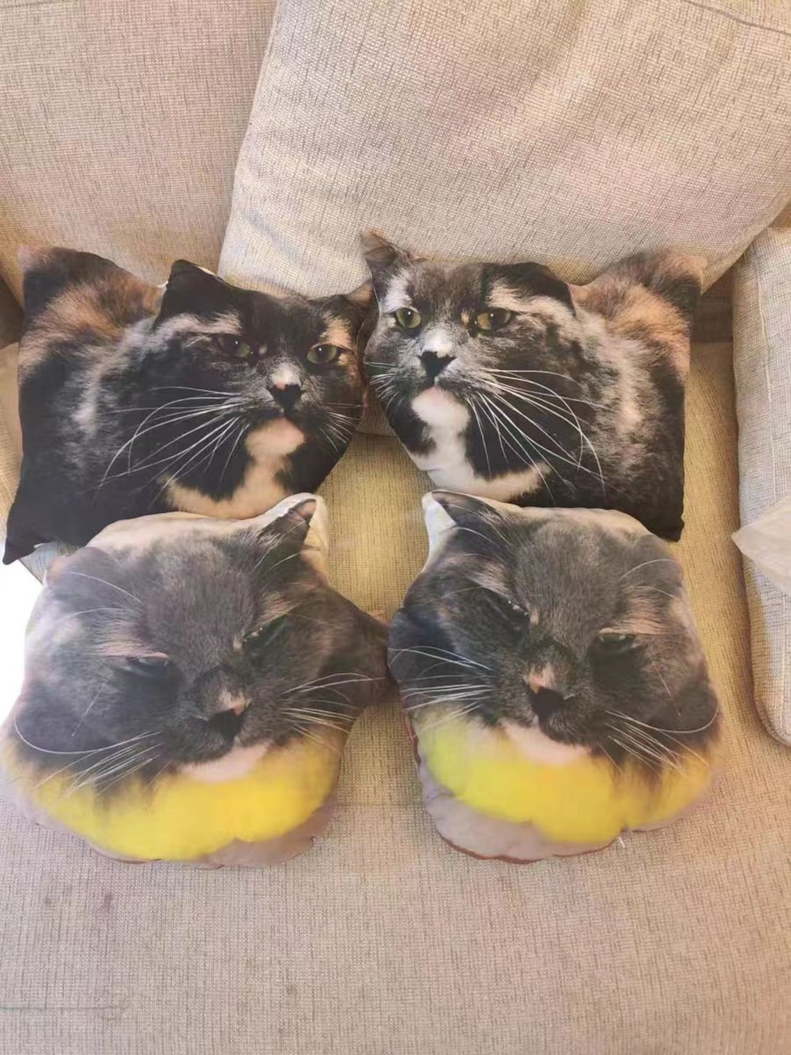 Ugly Cat Pillow Custom Print Photo Custom Special-shaped Doll Pet ...