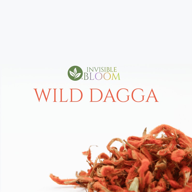 Premium Wild Dagga Leonotis Leonurus Flower Petals lion's Tail 100% ...