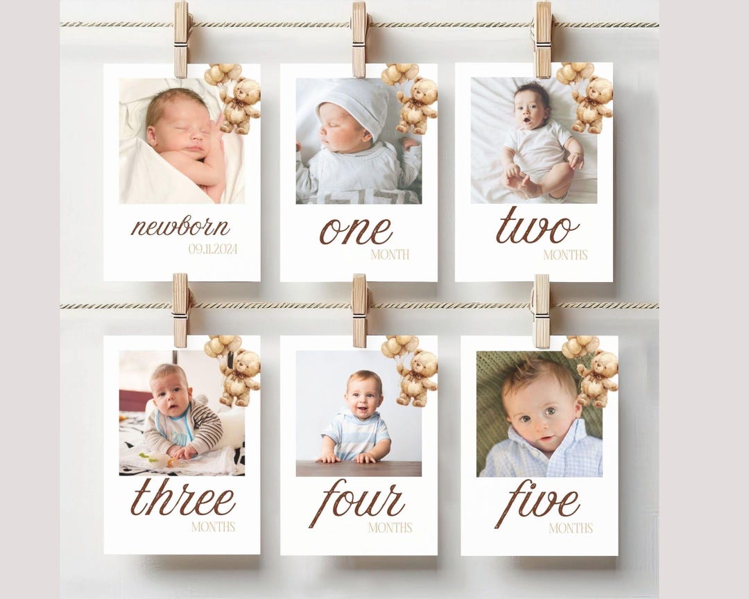 Teddy Bear Photo Birthday Banner Monthly Photo Banner for First ...