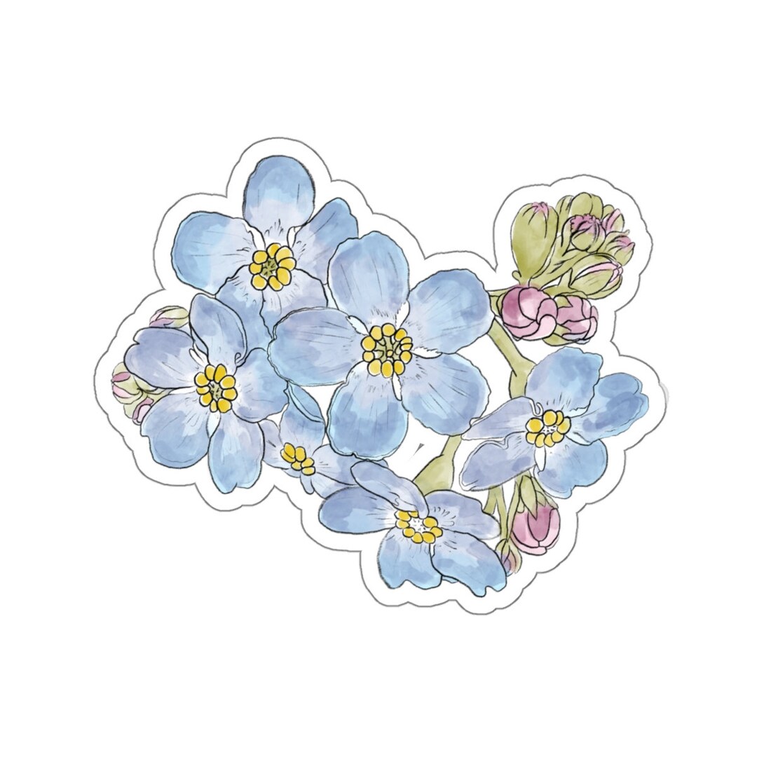 Watercolor and Graphite Forget-me-nots 1 Designed by Gabrielle Hewson ...