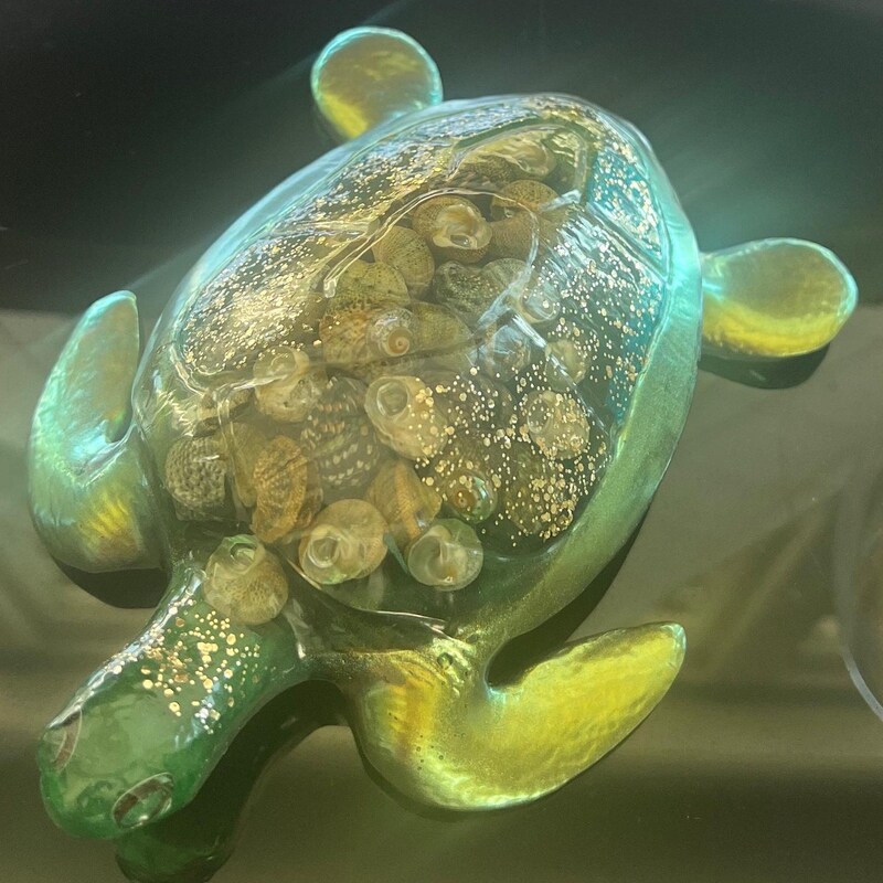 Turtle Resin - Etsy