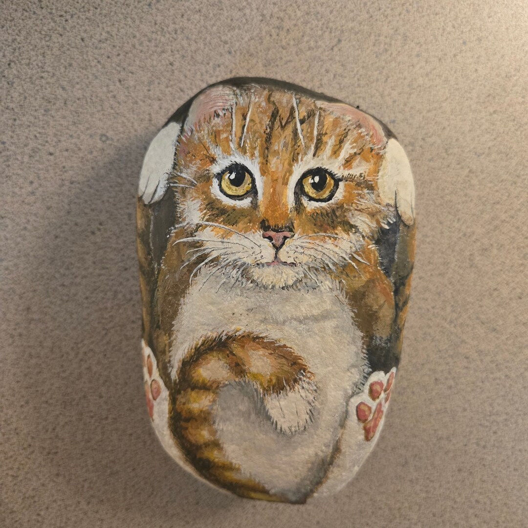 Topsy the 3D Orange and White Domestic Shorthair Cat Rock - Painted ...