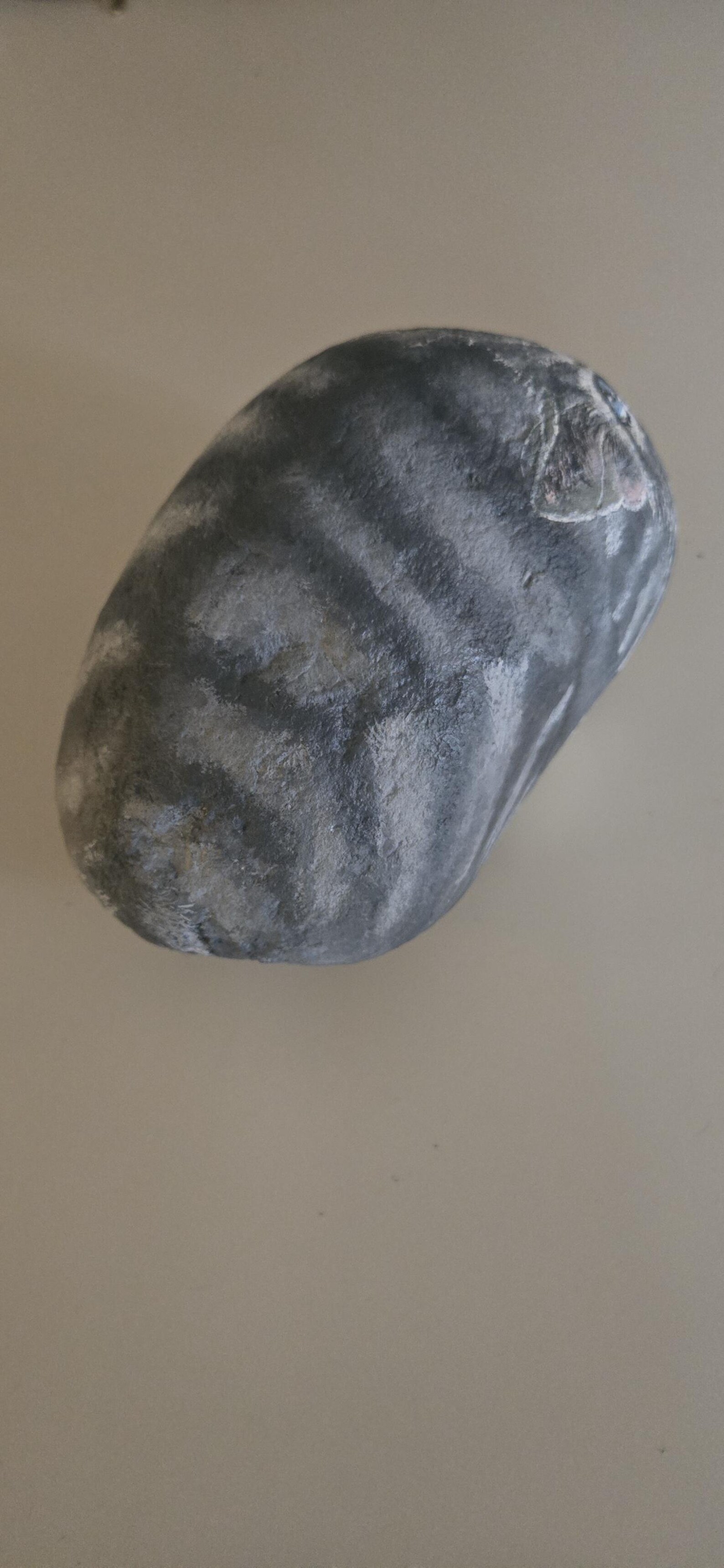 Ralph the 3D Gray Tabby Cat Rock - Painted With Acrylics - One of a ...