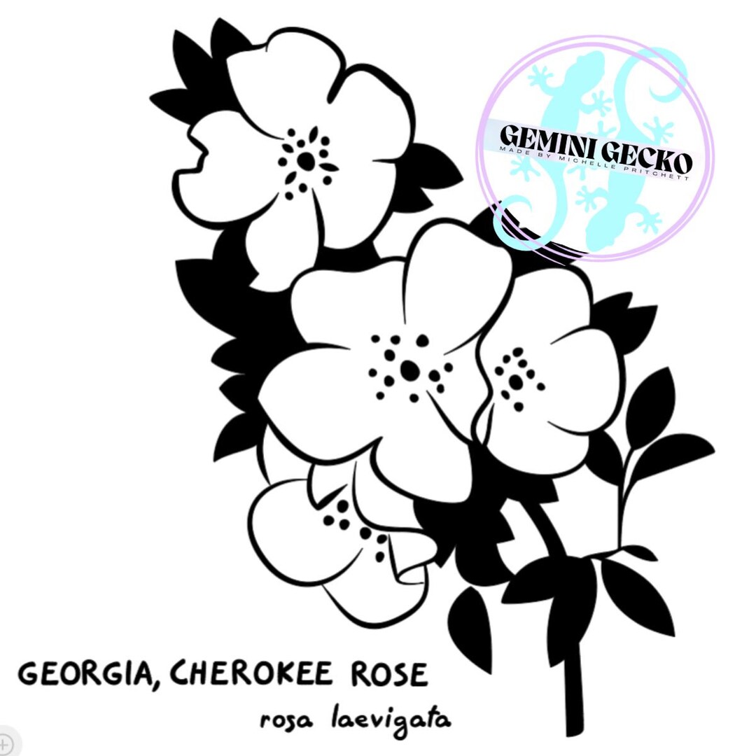 Georgia State Flower Cherokee Rose SVG - Etsy