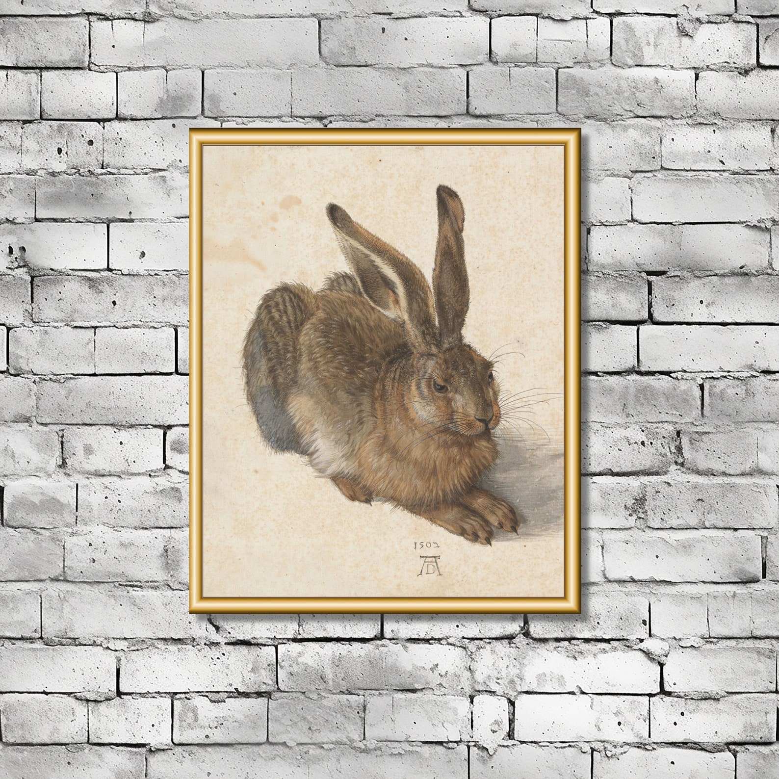 Albrecht Durer Young Rabbit Watercolor 1502 Antique Vintage Home Decor ...