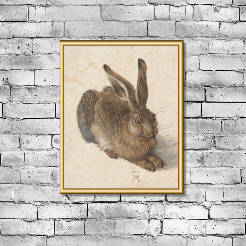 Albrecht Durer Young Rabbit Watercolor 1502 Antique Vintage Home Decor ...