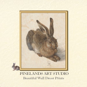Albrecht Durer Young Rabbit Watercolor 1502 Antique Vintage Home Decor ...