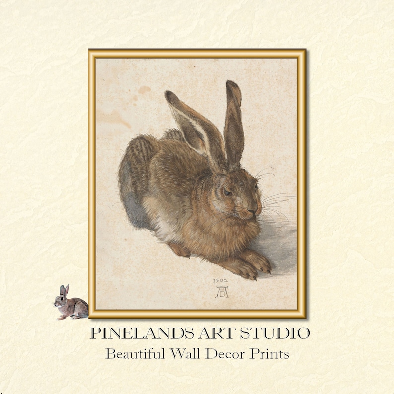 Albrecht Durer Young Rabbit Watercolor 1502 Antique Vintage Home Decor ...