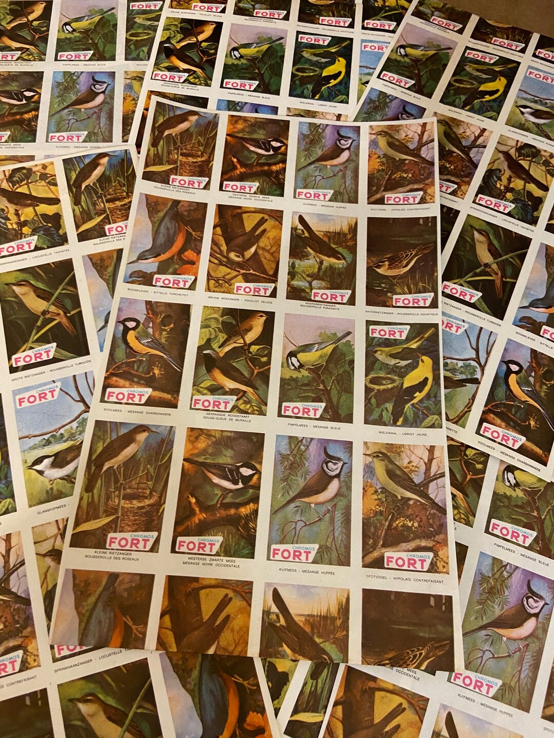 Vintage Uncut Match Book Covers Bird Motif Spring Bird Illustrations on ...