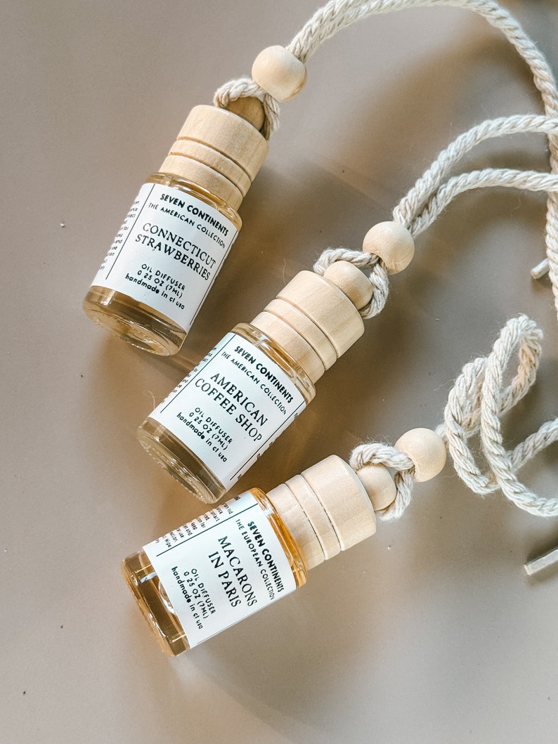 Car Diffuser Hanging, New Car Gift, Hanging Car Diffuser, Car Accessories, Hanging Car Freshener ...