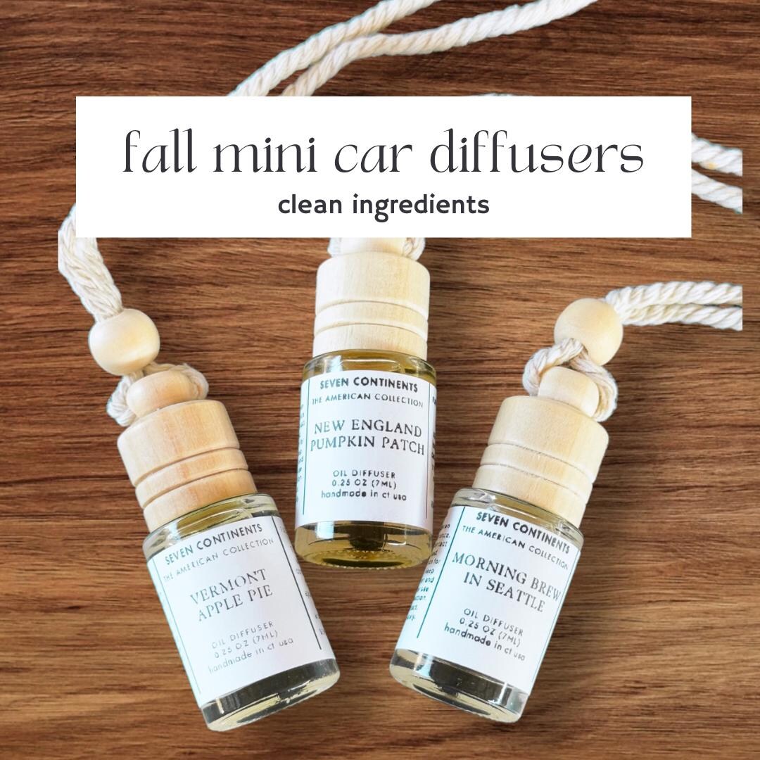 Fall Mini Car Diffusers – Travel-inspired Hanging Air Fresheners ...