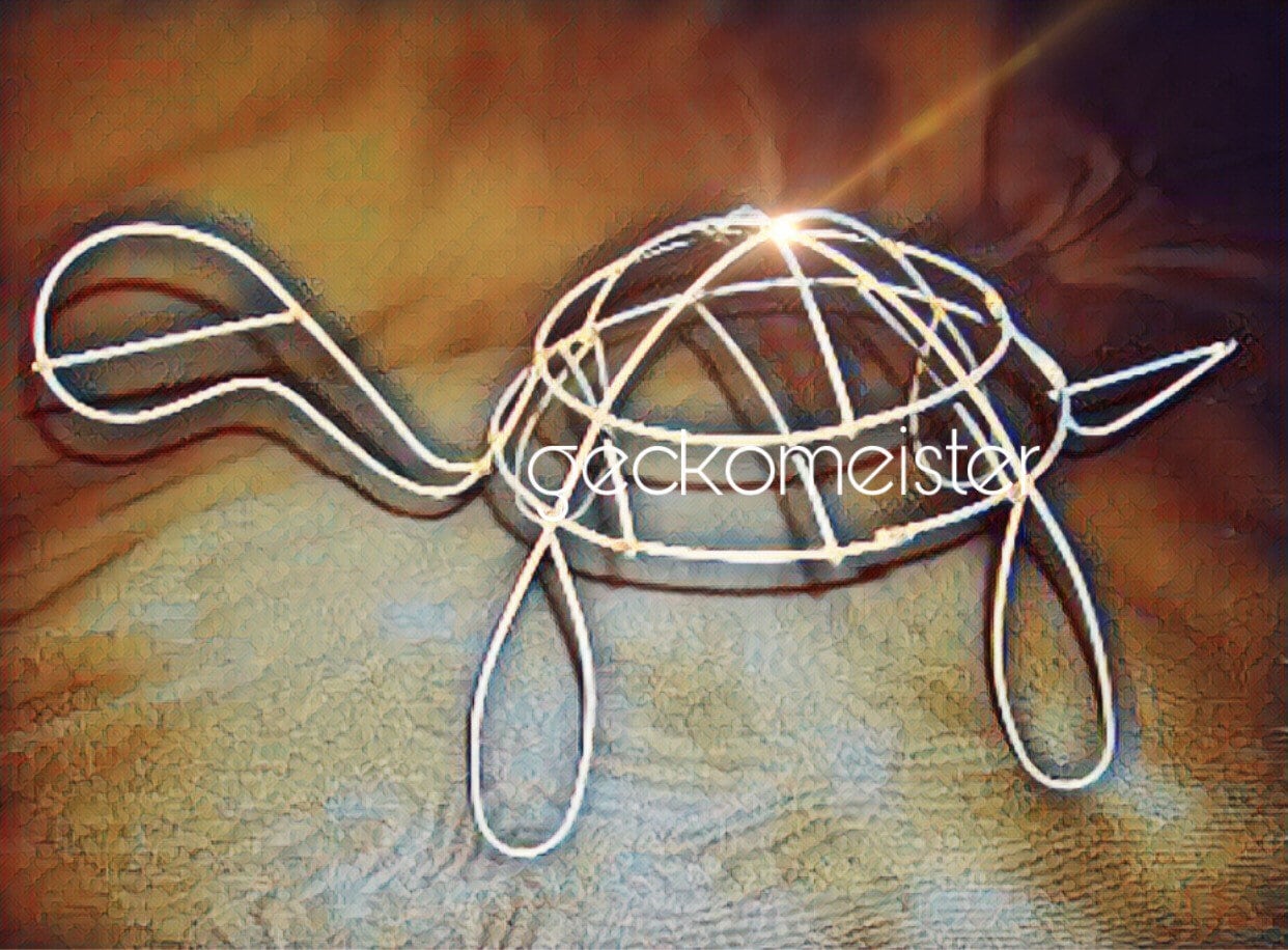 Easy Turtle Wire Sculpture