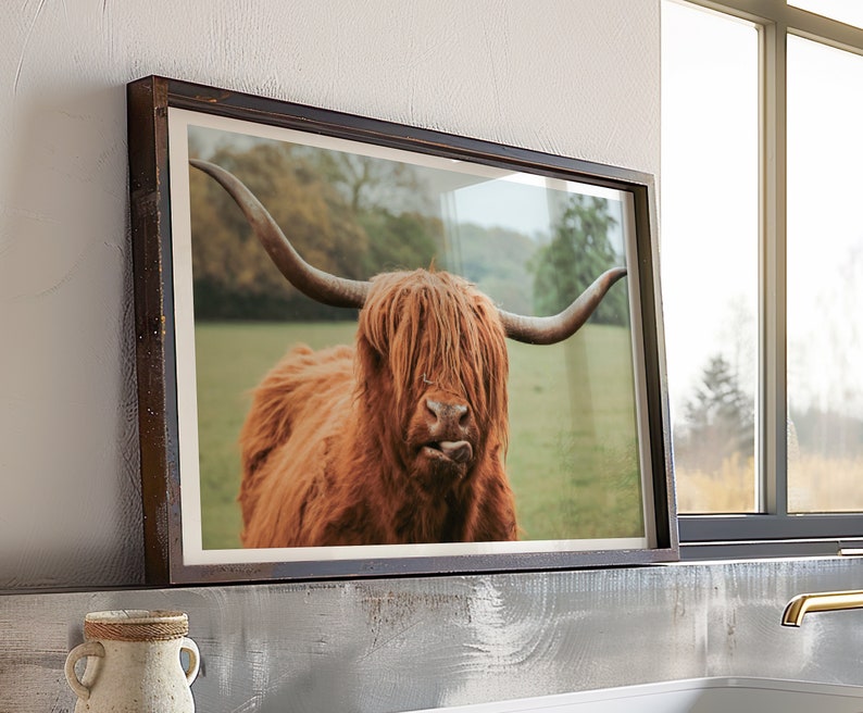 Highland Cow Print, Digital Download, Printable Wall Art, Farmhouse ...