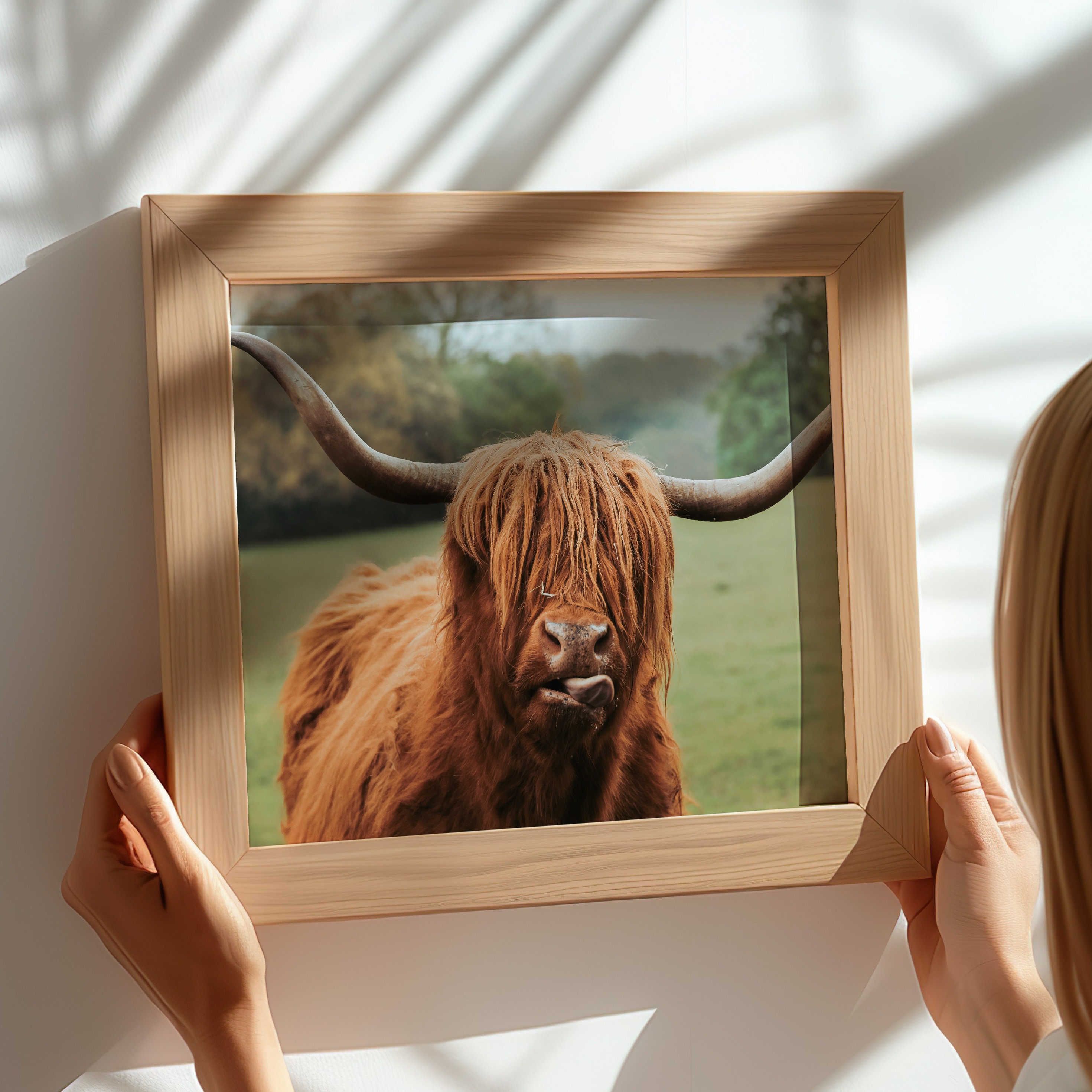Highland Cow Print, Digital Download, Printable Wall Art, Farmhouse ...