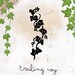 Trailing Leaf Plant Rubber Stamp: Vintage French Garland - Etsy