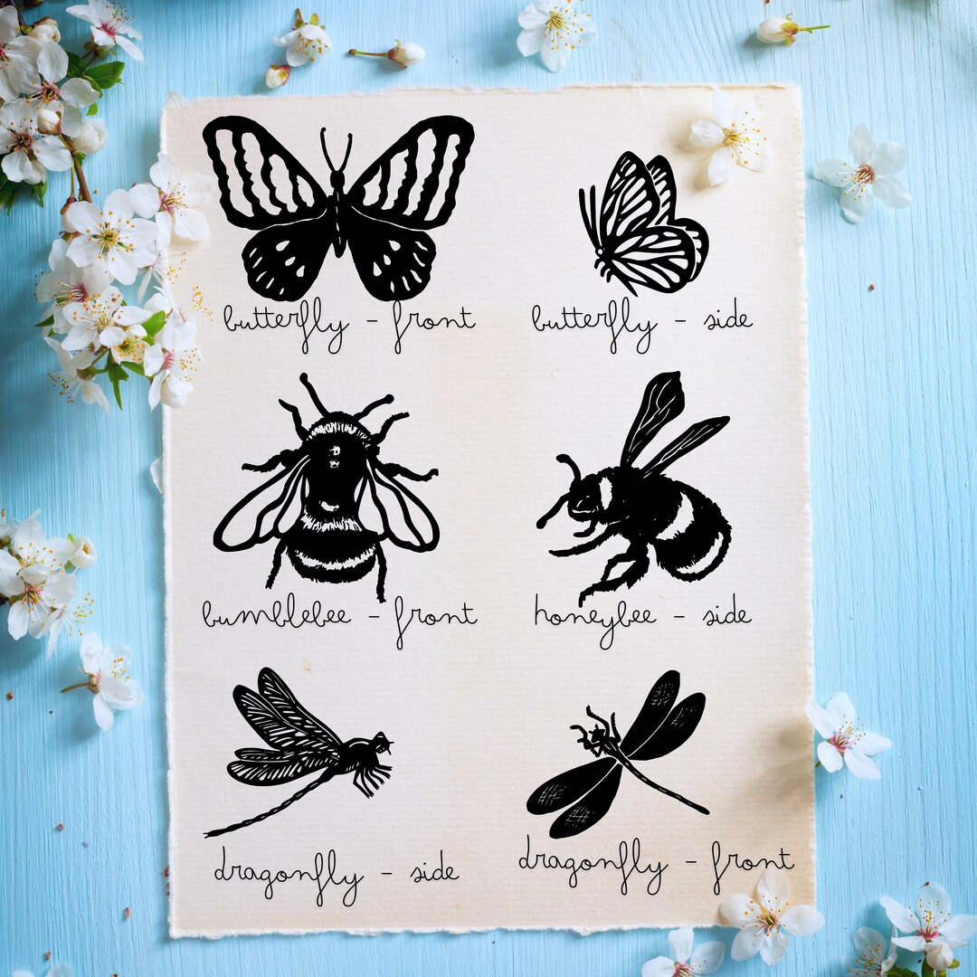 Set of Insect Rubber Stamp: Bee, Butterfly, Dragonfly - Etsy