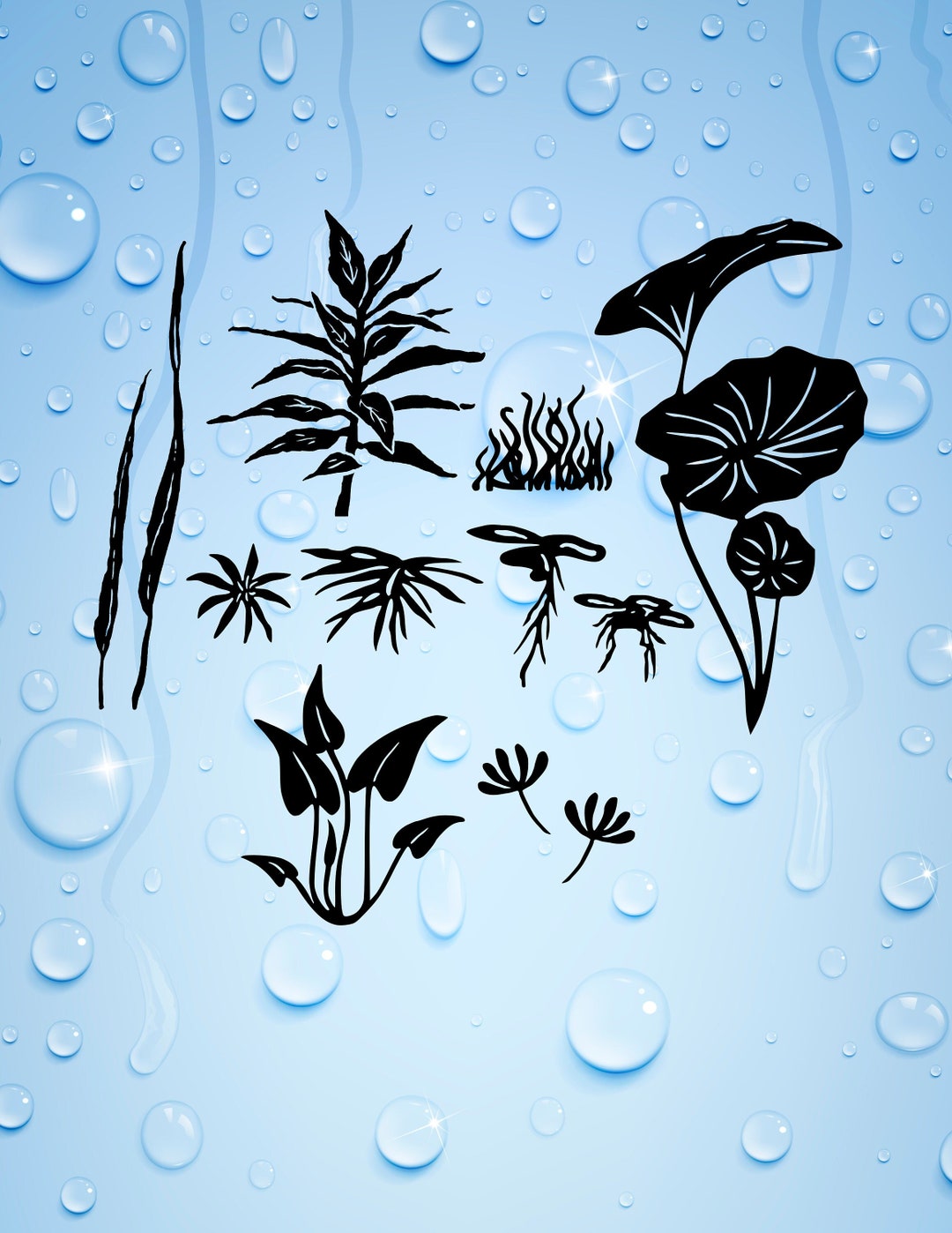 Aquatic Plants Rubber Stamp, DIY Craft Scrapbooking, Fish Tank Plant ...