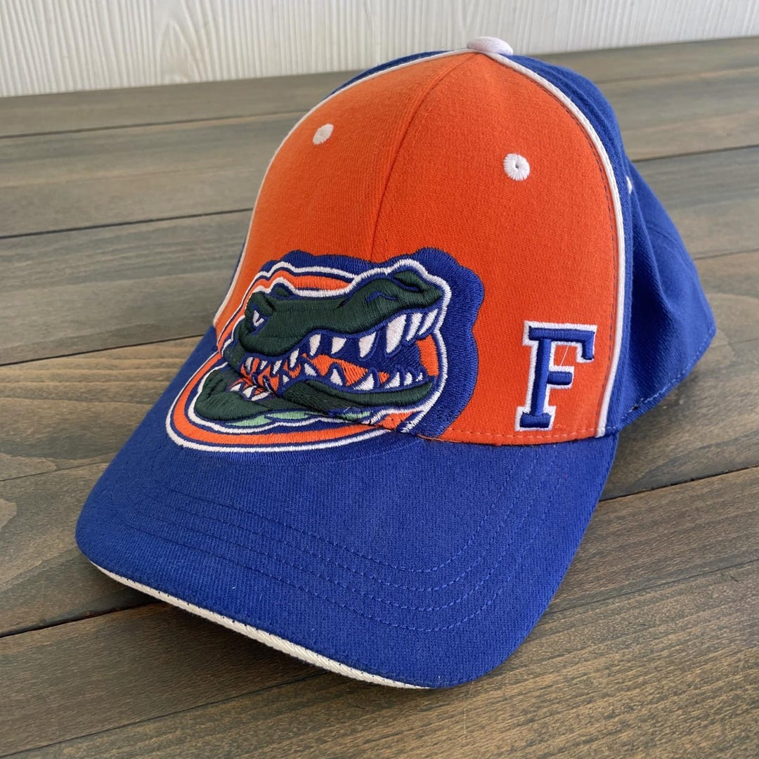 Rare Florida Gators Top of the World Embroidered Stretch One-fit Hat ...