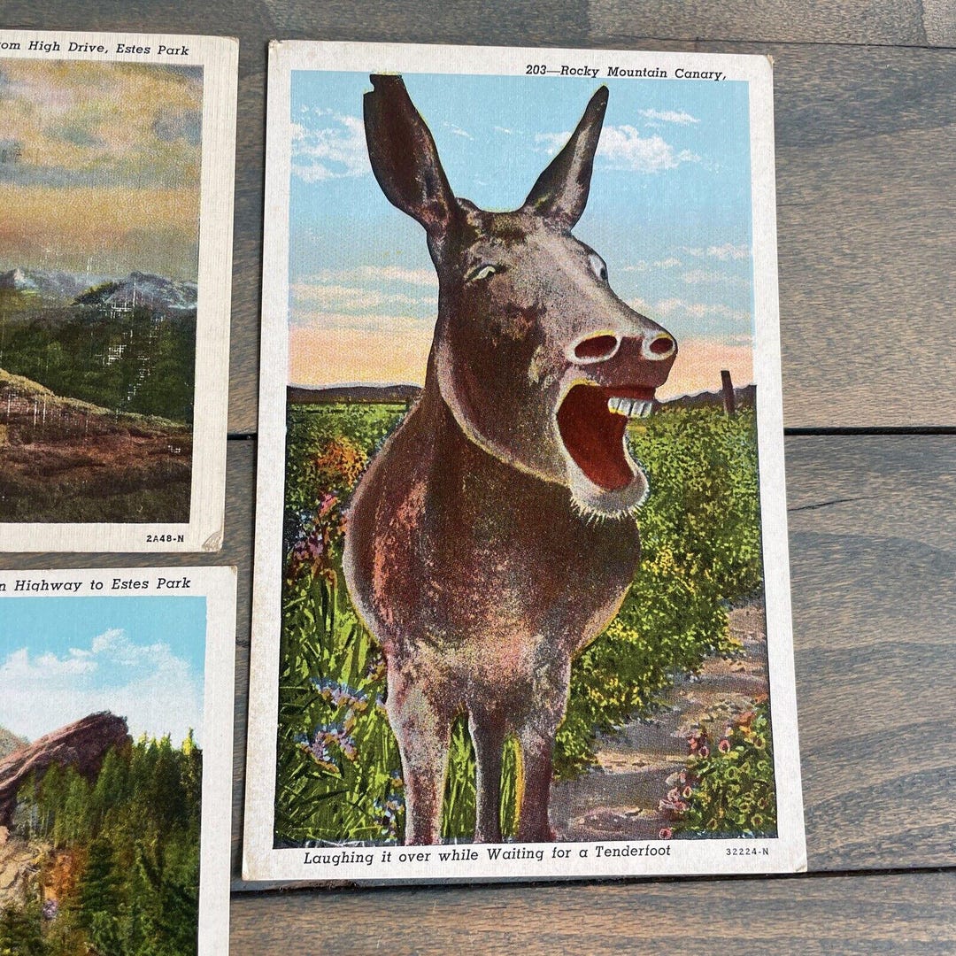 Mixed Lot of 15 Antique 1930s Colorado White Border Linen Postcards P45 ...