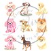 DOGS WATERCOLOR CLIPART - 50 Clip Arts (300 Dpi, Commercial Use, Bundle ...