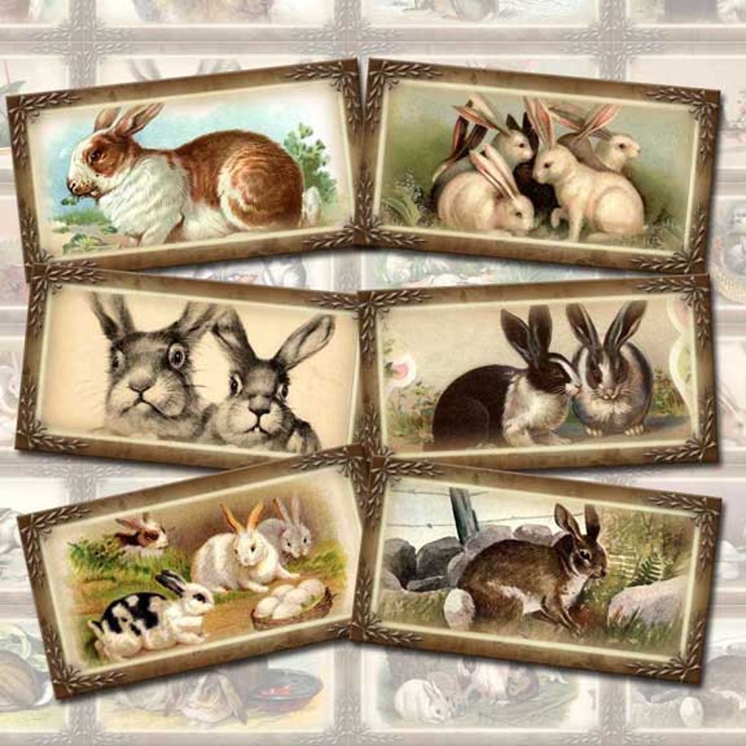 Bunny RABBITS-24 Vintage Art Mini Gift/hang Tags/labels -instant ...
