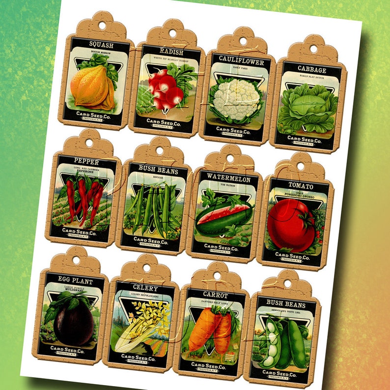 Instant Download -vegetable Seed Packets Vintage Art Hang/gift Tags ...