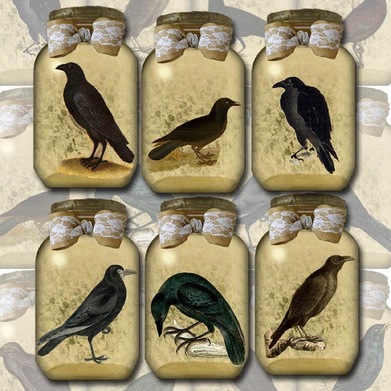 Ravens/crows/blackbirds in a Mason Jar Instant Download | Etsy
