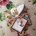 Decorative Box Template Beatrix Potter Story Book Characters-instant ...